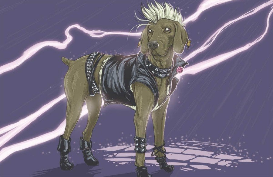 Dogs as Superheroes from Marvel's Universe | Vamers