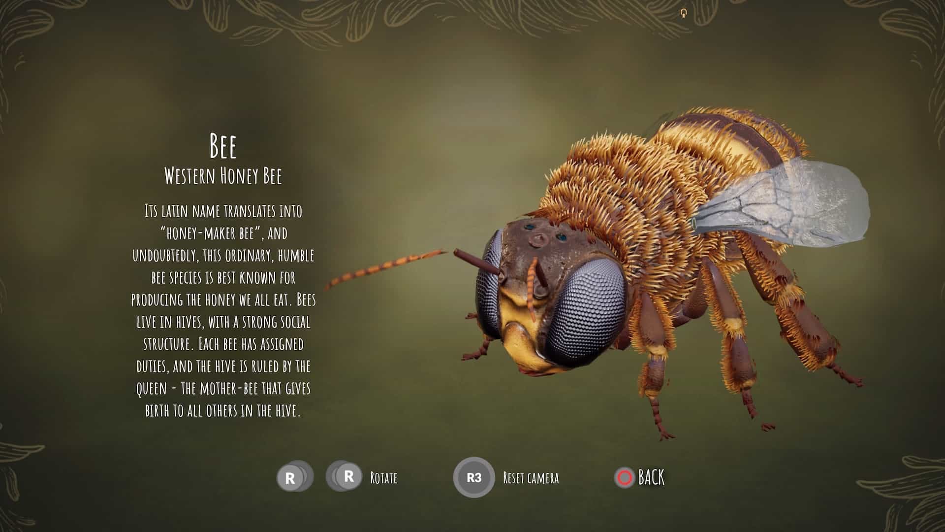 Bee Simulator Review - Be the Bee you were always meant to Be - Vamers