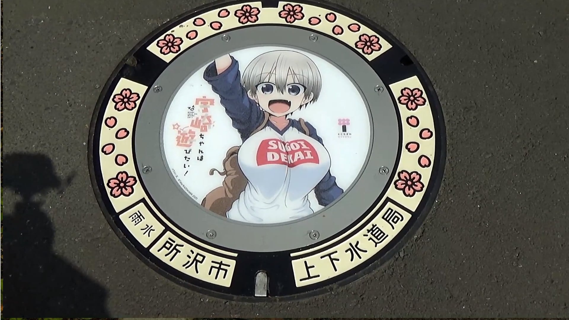 Five of the best illuminated manhole covers from Tokorozawa, Japan - Vamers