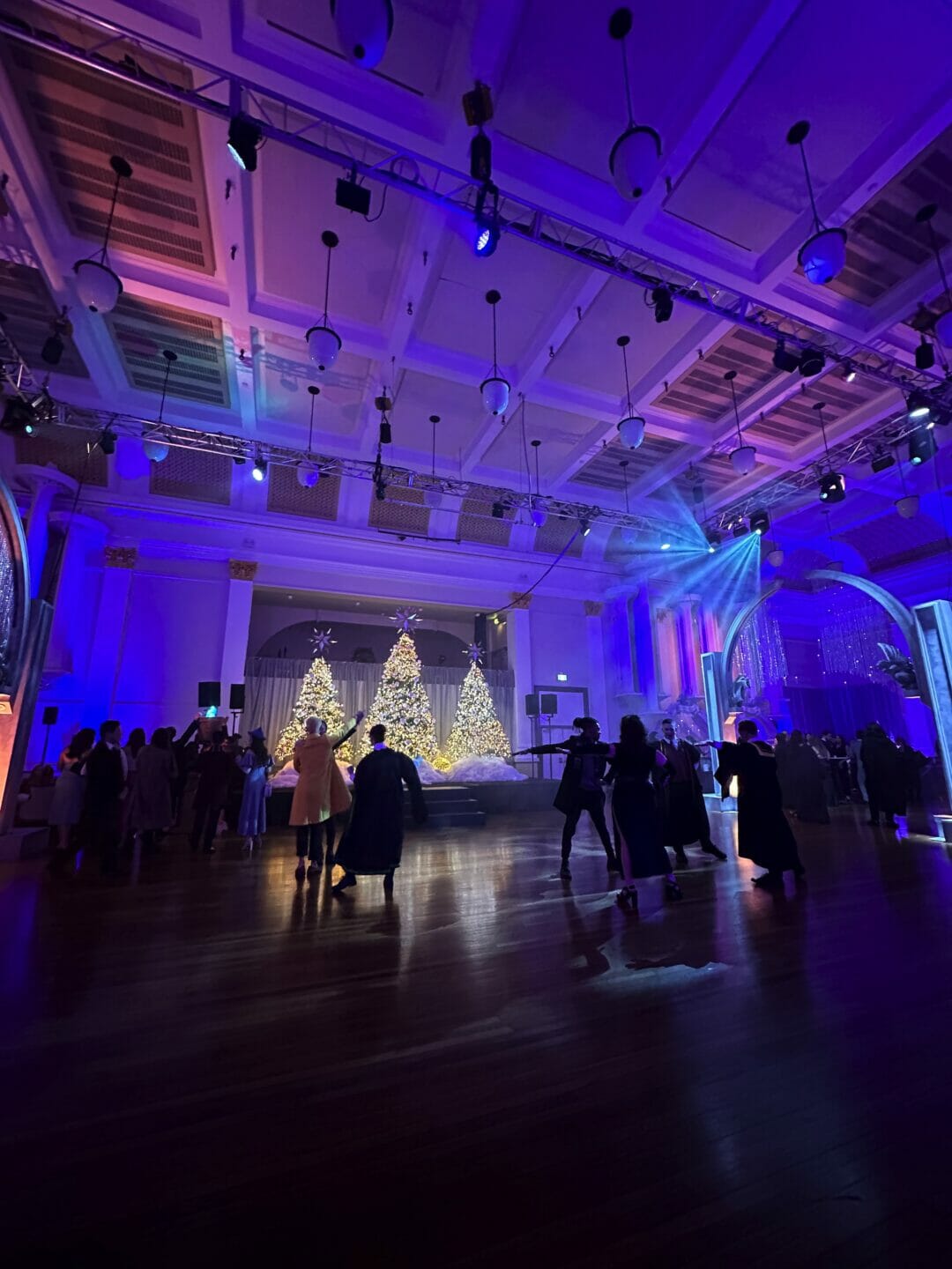 Harry Potter: A Yule Ball Celebration Review - Missing Magic - Vamers